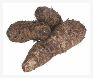 Yam,suran - Suran Yam - Free Transparent PNG Download - PNGkey