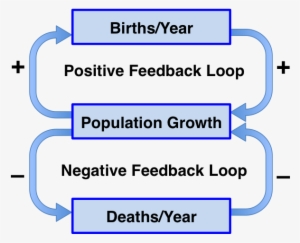 Feedback Loops Diagram - Positive Feedback Loop - Free Transparent PNG ...