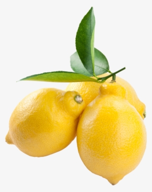Lemon Png - Lemon Transparent Background - Free Transparent PNG ...