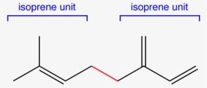 Photo Taken From - Isoprene Units - Free Transparent PNG Download - PNGkey