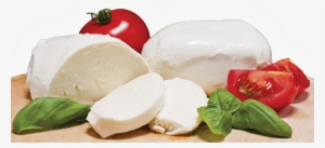 Mozzarella - Mozzarella Png - Free Transparent PNG Download - PNGkey