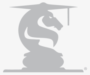 The Knight School Has Finally Perfected Chess Class - Knight School ...