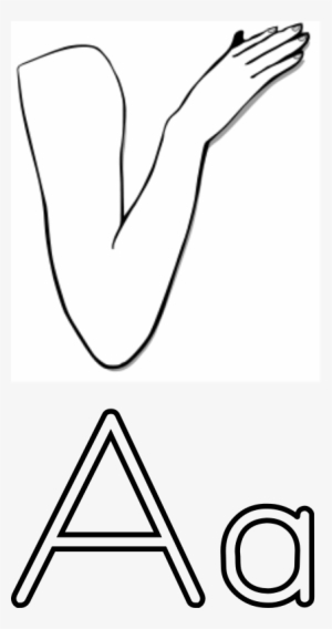 Arm Clipart Print - Line Art - Free Transparent PNG Download - PNGkey