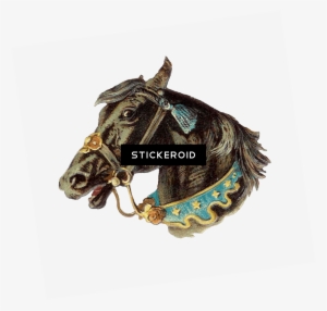Vintage Horse Head - Horse - Free Transparent PNG Download - PNGkey