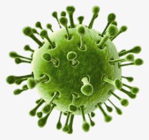 Virus PNG, Transparent Virus PNG Image Free Download - PNGkey