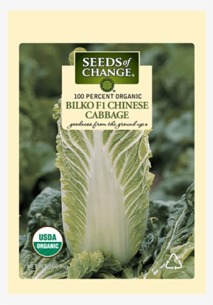 Cabbage PNG, Transparent Cabbage PNG Image Free Download - PNGkey