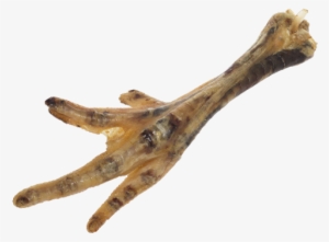 Chicken Feet Png - Chicken Feet Transparent Background - Free ...