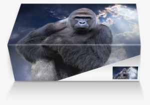 Harambe Transparent Png Jpg Royalty Free Library - Shoe - Free ...