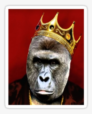 Harambe PNG, Transparent Harambe PNG Image Free Download - PNGkey