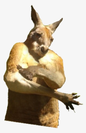 Kangaroo Gangster - Film - Free Transparent PNG Download - PNGkey
