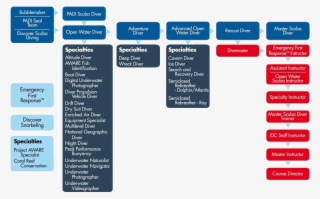 Padi Courses Scheme - Padi Courses - Free Transparent PNG Download - PNGkey