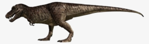 Tyrannosaurus Rex PNG, Transparent Tyrannosaurus Rex PNG Image Free ...
