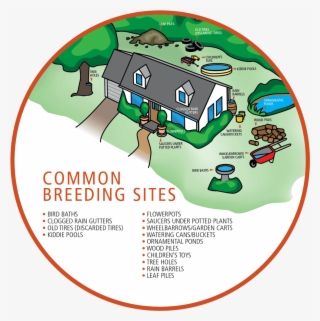 Breeding Areas Magnify - Breeding Site - Free Transparent PNG Download ...