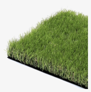 Fake Grass Background Png - Artificial Turf - Free Transparent PNG ...
