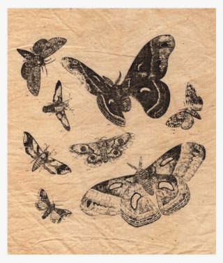 Bring Me The Horizon Sempiternal Vector Logo By Bullcrazylight - Flower ...