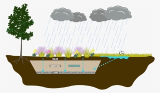 With Population Growth And Increased Land Development - Graphics - Free ...