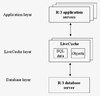 R/3 Livecache Architecture - Database - Free Transparent PNG Download ...