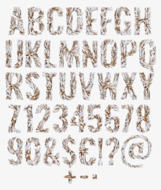 Modern Coral Font - Motif - Free Transparent PNG Download - PNGkey