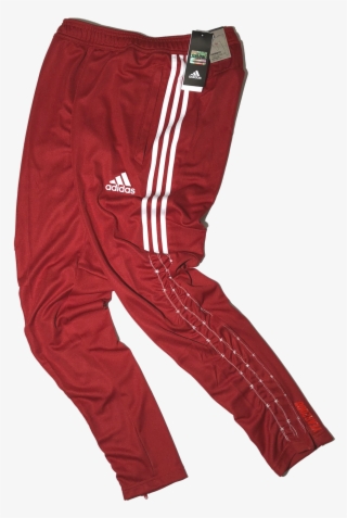 Tiro17 Barbed Wire Training Pant® Red - Free Transparent PNG Download ...