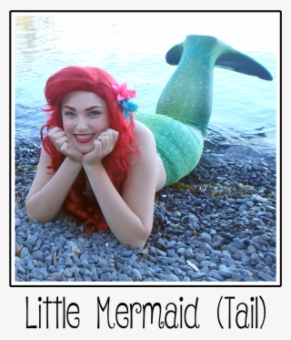 23 Feb - Poster - Free Transparent PNG Download - PNGkey