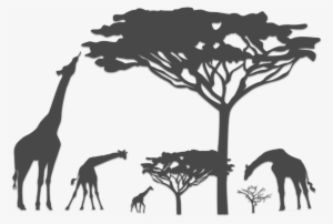 Giraffe - Safari Animals Silhouette Png - Free Transparent PNG Download ...