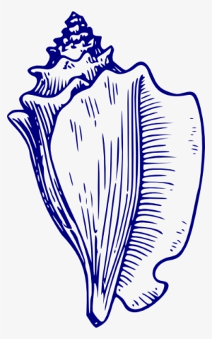 Blue Shell Clip Art - Lord Of The Flies Clip Art Conch - Free ...