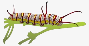 Caterpillar Free Png Image - Higad Clipart - Free Transparent PNG ...