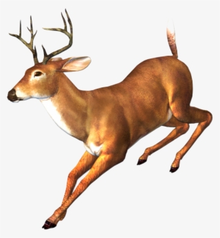 Deer 4 Free Vector - Running Deer Clip Art - Free Transparent PNG ...
