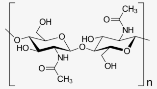 Chitin Png - Free Transparent PNG Download - PNGkey