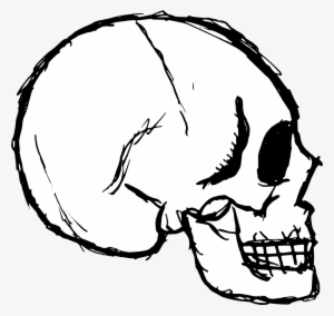 Skull Drawing PNG, Transparent Skull Drawing PNG Image Free Download ...