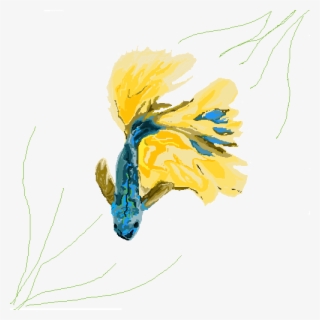 Betta Feeesh - Illustration - Free Transparent PNG Download - PNGkey