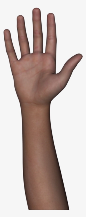 Free Stock Images Body Parts - Sign Language - Free Transparent PNG ...