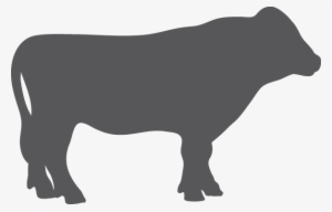 Cow Icon PNG, Transparent Cow Icon PNG Image Free Download - PNGkey