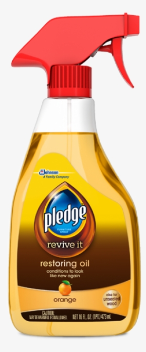 Pledge Logo - Free Transparent PNG Download - PNGkey