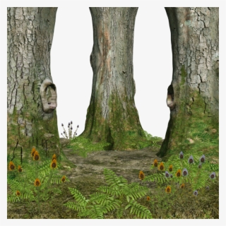 Forest Freetoedit - Tree Line - Free Transparent PNG Download - PNGkey