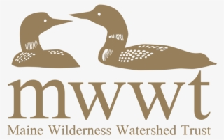 Mwwt Logo Gold-darker For Print - Hairy Legs In Winter - Free ...