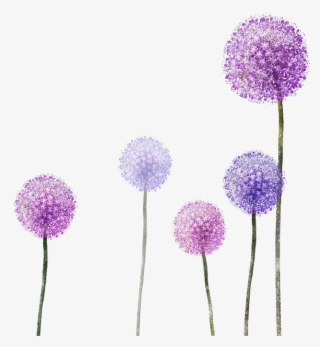 Dandelion Transparent Purple Vector Freeuse Stock - Dandelion - Free ...