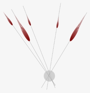 Image Of Intersecting Of Blood Spatter Impact Angles - Arrow - Free ...