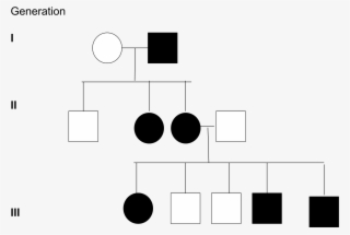 X-chromosome Inheritance Chart - Genealogical Dna Test - Free ...
