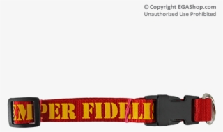 Fernandino First - Free Transparent PNG Download - PNGkey