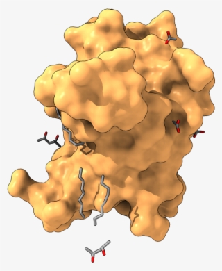 Surface Display - Map - Free Transparent PNG Download - PNGkey
