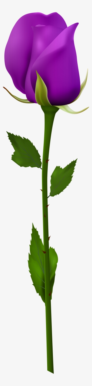 Bouquet Of Long Stemmed Roses - Pink Flower Vase Png - Free Transparent ...