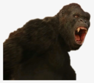 Leafwing - Kong Skull Island Psycho Vulture - Free Transparent PNG ...