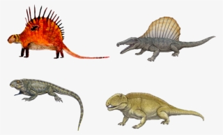 Sphenacodontidae - Angelosaurus - Free Transparent PNG Download - PNGkey