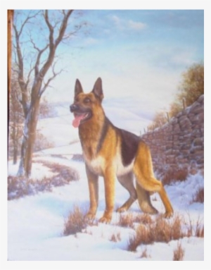 Alsatian On Guard - 029 Alsation In The Snow Greeting Card - Free ...