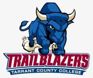 Tcc Toro - Free Transparent PNG Download - PNGkey