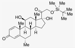 Catalogue Number - Hic-a70110313 - Free Transparent PNG Download - PNGkey