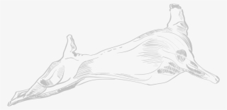 Rabbit Meat - Free Transparent PNG Download - PNGkey