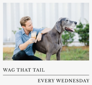 Wags Stretching - Cartoon - Free Transparent PNG Download - PNGkey