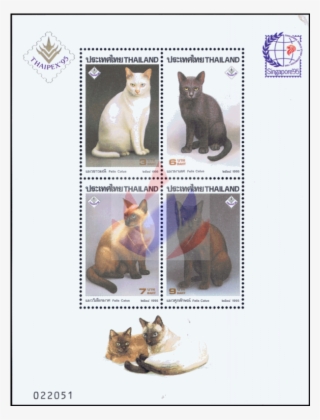 Siamese Cats - Postage Stamp - Free Transparent PNG Download - PNGkey